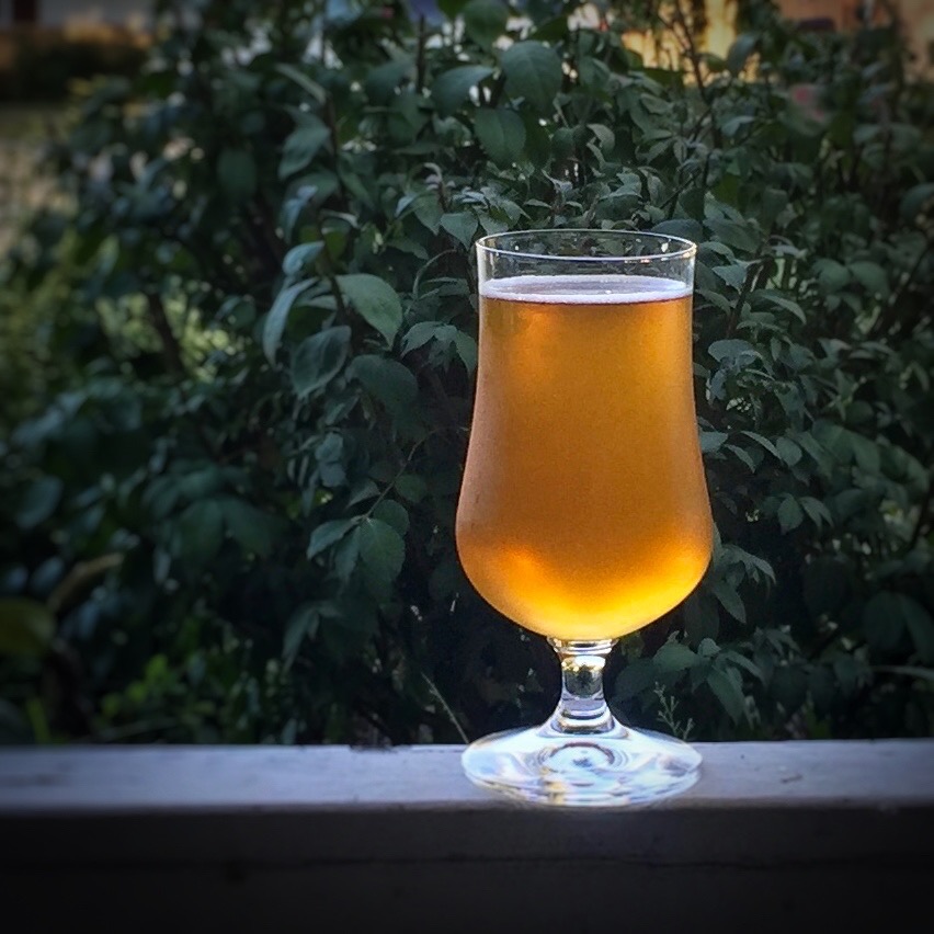 Taste Design - An Intro To Sahm Glassware - The Gnarly Gnome