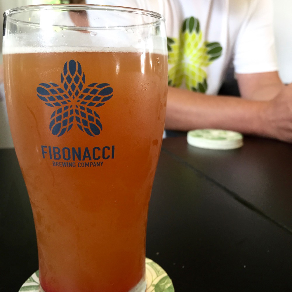 Fibonacci – The Gnarly Gnome