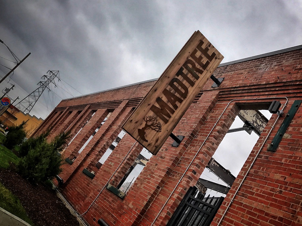 All About MadTree Brewing Company - from the Gnarly Gnome