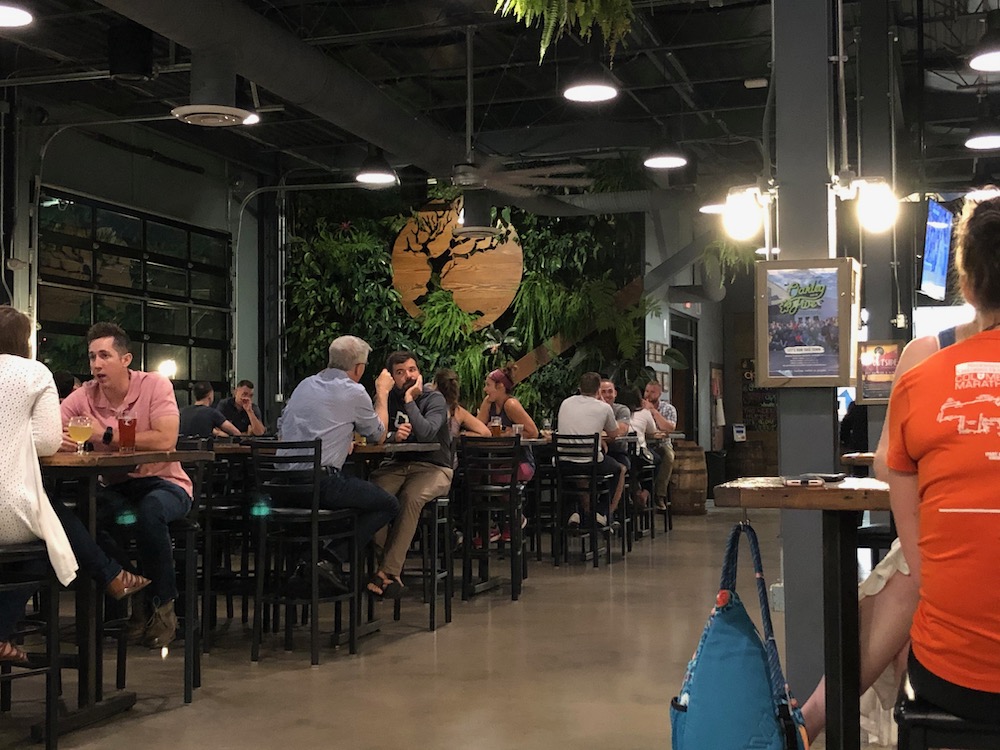 All About MadTree Brewing Company - from the Gnarly Gnome